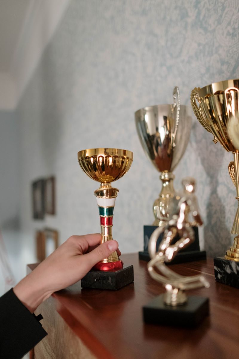 About Us – Iconic Peace Award Council